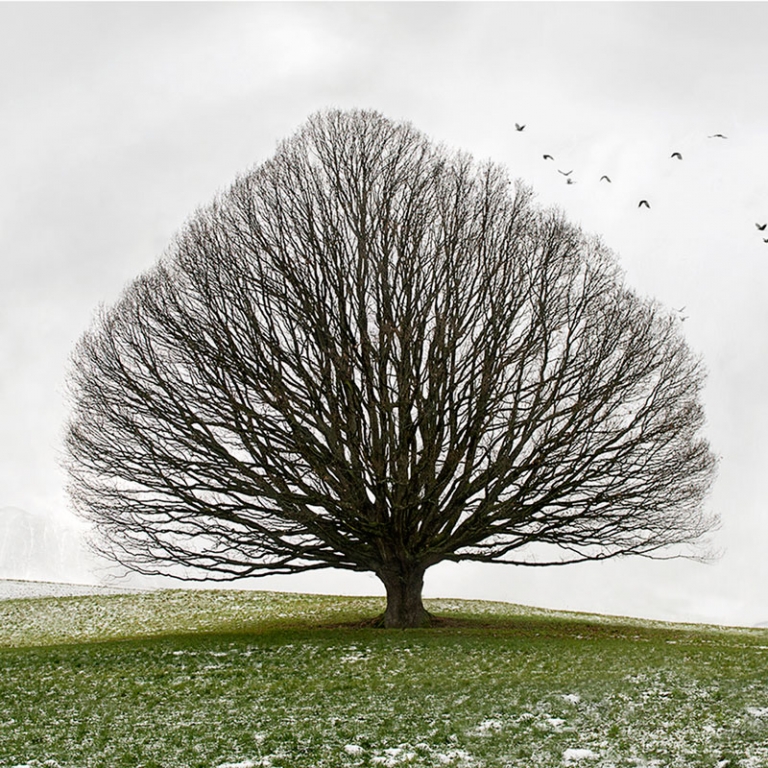 Home - Frances Suter Photography