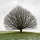 Home - Frances Suter Photography