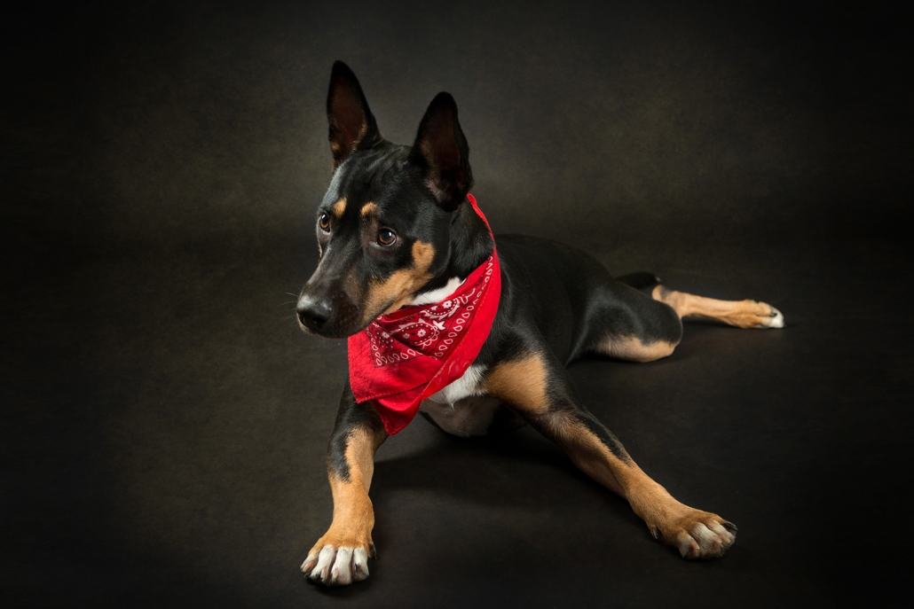 Home - Frances Suter Photography