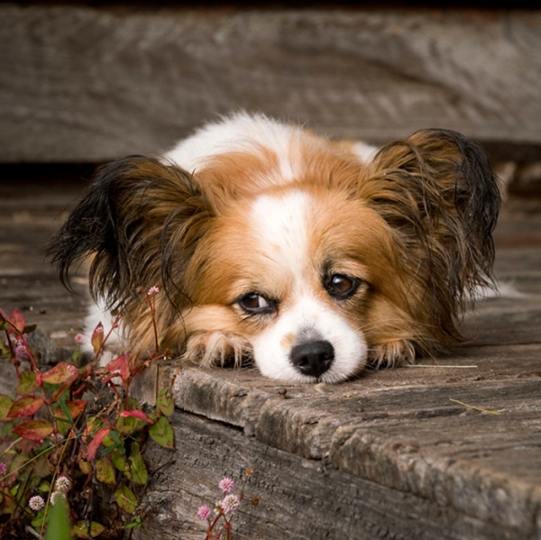 Home - Frances Suter Photography